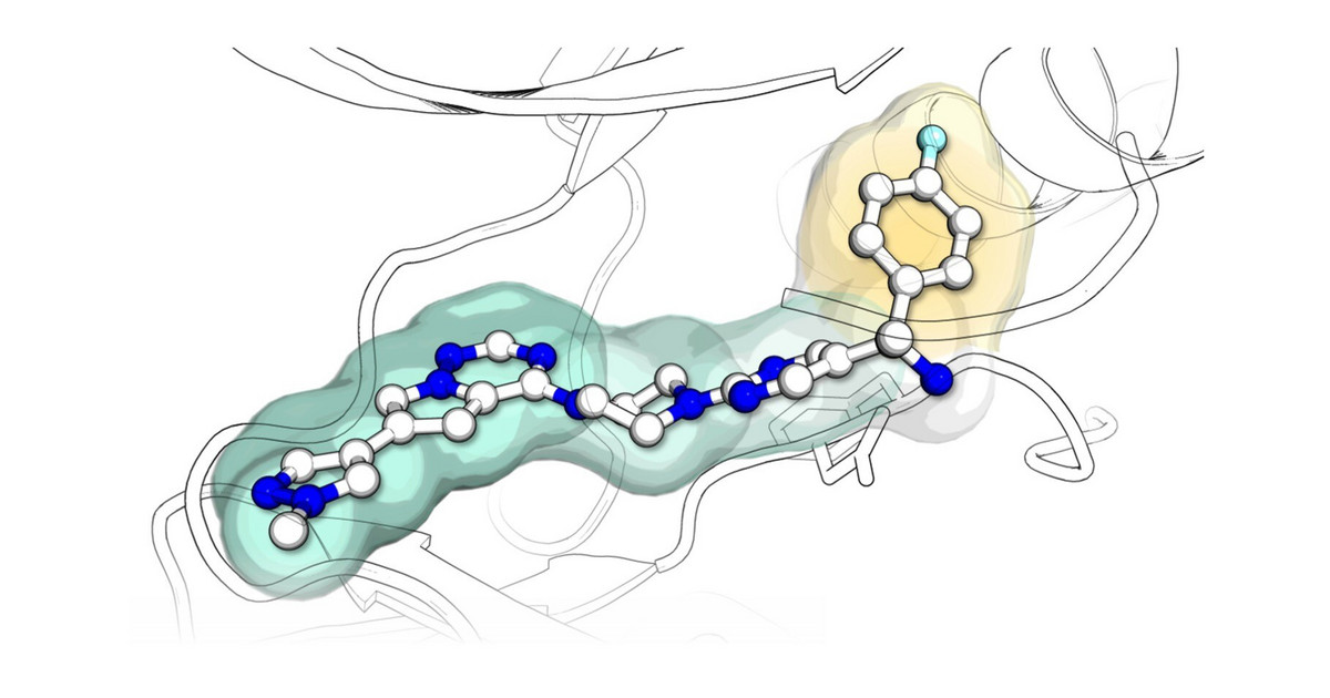 New Insights Into the Resistance Mechanisms of a Rare Tumor - TU Dortmund